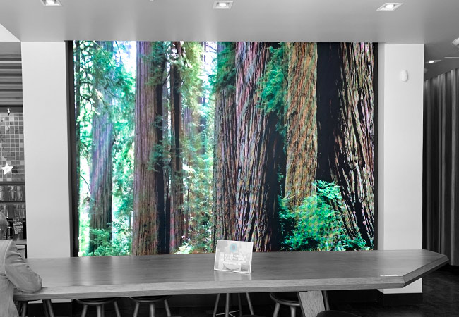 BOLD™ LED Display at Starbucks Salesforce Tower in San Francisco